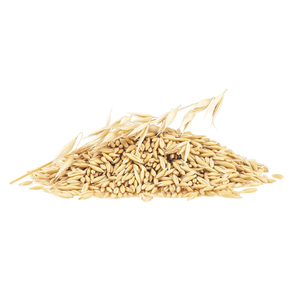 Oats Traders - Sunrise Foods International