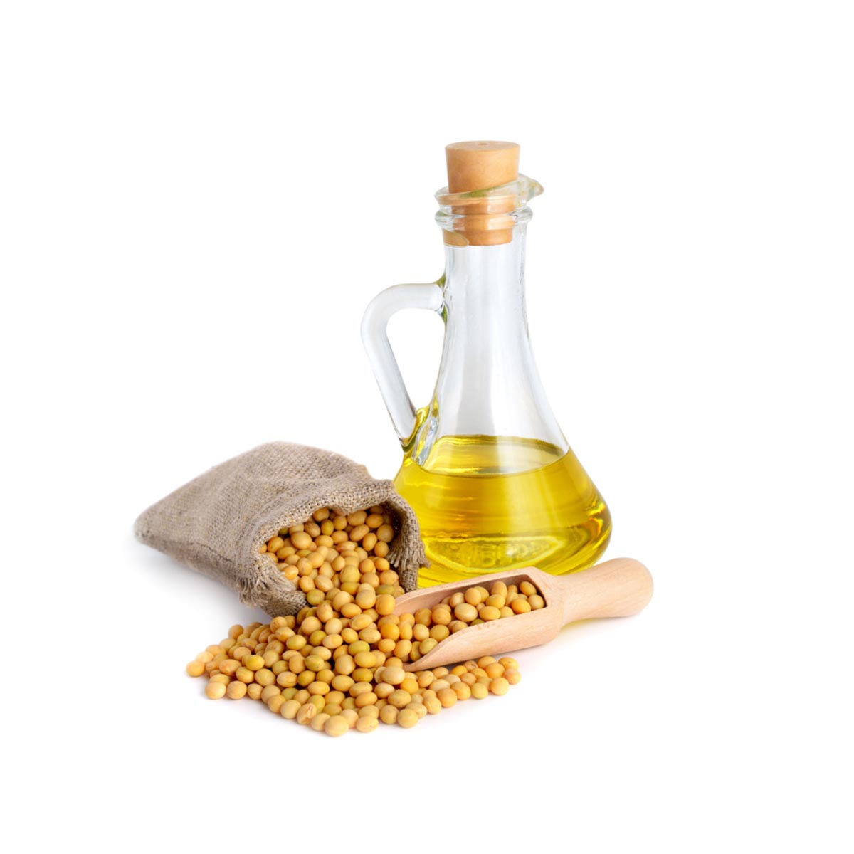 Soybean Oil Traders - Sunrise Foods International